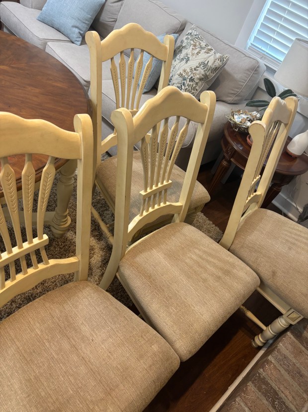 Homeschool! | CBCCA and CBC Co-op: Two ministries of Community Bible Church